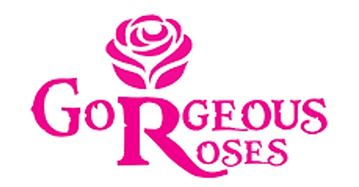 Gorgeous Roses